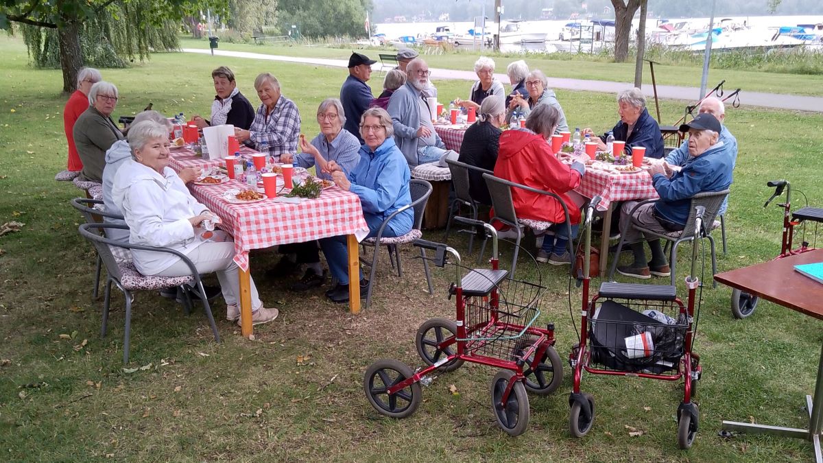 Promenad 250 veckor i rad - Senioren